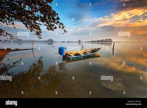 Tree At The Beach Stock Photo Alamy