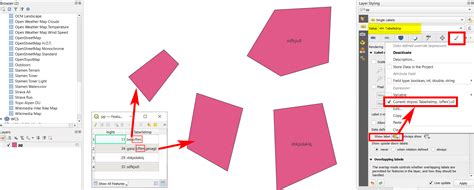 Polygon Displaying Only Certain Labels In QGIS Geographic