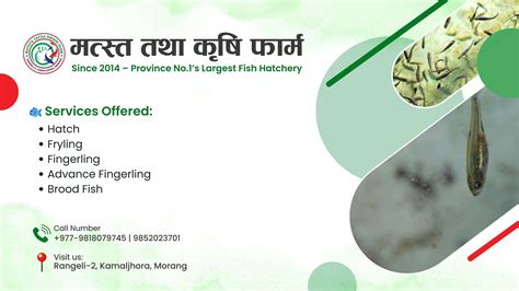 smart data solutions with smart data solutions new virtual mailroom solution increasing bill