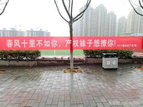 河南一高校男生挂上百条横幅表白女生只要你听话 我全听你的 横幅 郑州成功财经学院 高校男生 新浪新闻