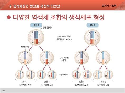 미래엔 엠티처