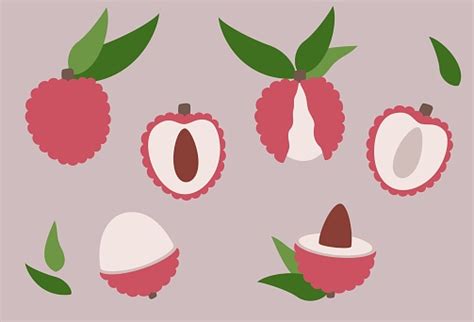 열매 평면 디자인 벡터 일러스트 레이 션입니다 간단한 만화 스타일의 열매 아이콘 세트입니다 리치에 대한 스톡 벡터 아트 및 기타