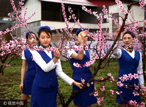准空姐河南洛陽賞雨露桃花 秀性感美腿上演制服誘惑 每日頭條