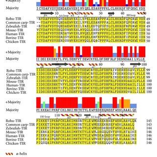 Multiple Sequence Alignment And Secondary Structure Prediction Of