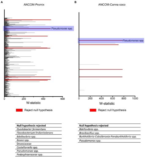 Ancom Analysis Of Statistically Important Taxonomical Differences
