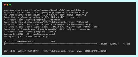 golang 기초 2 설치 및 개발 환경 설정