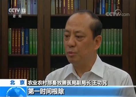農業農村部：已有效控制四起傳入豬瘟疫情 每日頭條