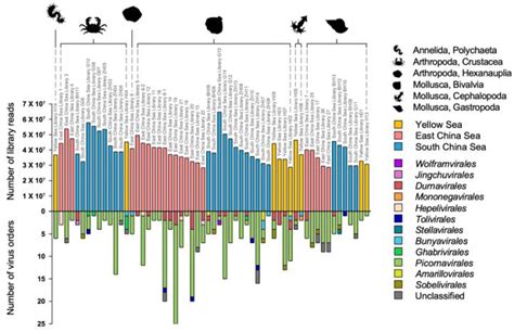 Virome In Marine Ecosystems Reveal Remarkable Eurekalert