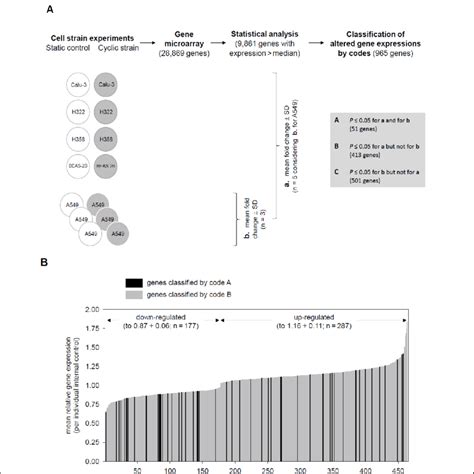 Experimental Procedure And Basic Analysis Of The Gene Microarray Data