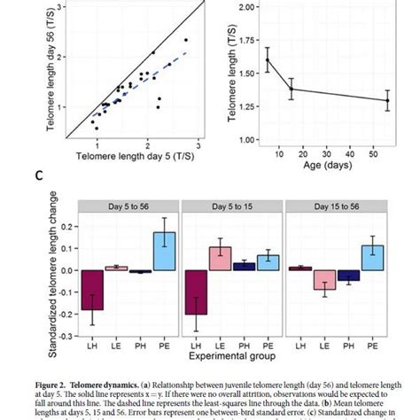 Telomere Dynamics A Relationship Between Juvenile Telomere Length Download Scientific