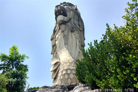 鱼尾狮 鱼尾狮最新消息 新闻 图片 视频 聚合阅读 新浪网