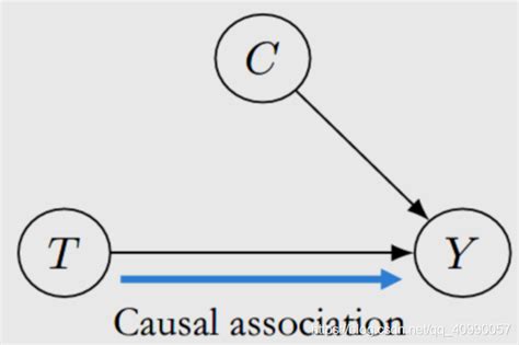 introduction to causal inference：chapter 1因果推断概论 csdn博客