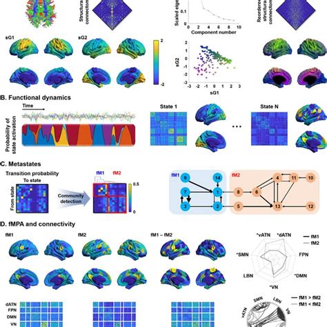 associations between structural gradients and functional dynamic