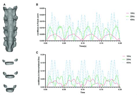 A The Finite Element Model Of Mouse Lumbar Spine L4 L6 B The Von