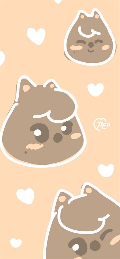 Skzoo Han Quokka Wallpaper | Cute wallpapers, Wallpaper iphone cute ...
