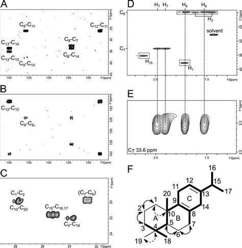 Two Dimensional And Three Dimensional Nmr Experiments Revealed