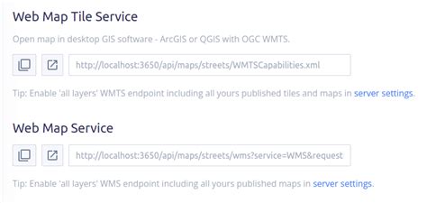 control maptiler server 4 2 via api maptiler