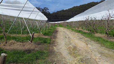 netting gallery elite netting protective netting structures woodside sa