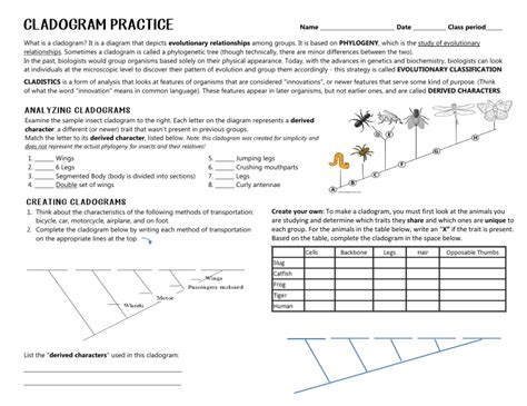 Cladogram Practice Evolutionary Relationships Worksheet