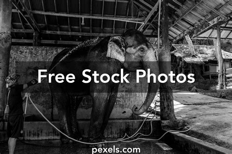 Background Less Ps 5 Photos Photos Download The Best Free Background