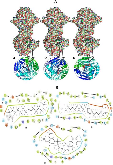 A The Binding Of A 9 Hexadecen 1 Ol B Erucamide C Donepezil At
