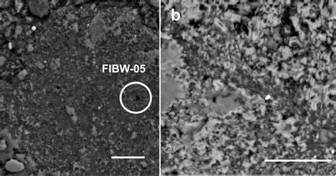 Cosmic Building Blocks Of Life Discovered Through Electron Microscope