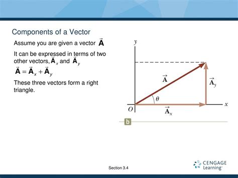 Ppt Chapter 3 Powerpoint Presentation Free Download Id 6599606