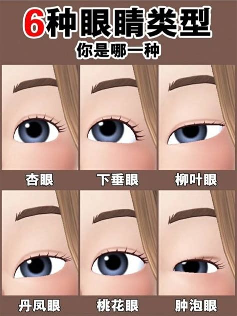 眼睛分类名称 图库 五毛网