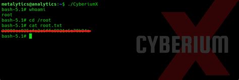 Hackthebox Analytics Walkthrough Cyberiumx