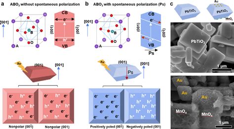 Schematic Illustration Of The Effect Of Ferroelectric Polarization On Download Scientific