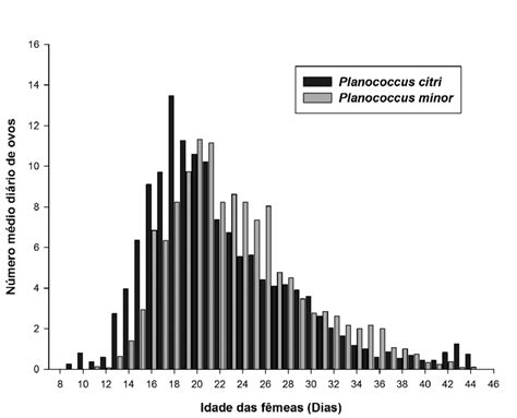 Fecundidade De Planococcus Citri E Planococcus Minor Hemiptera Download Scientific Diagram