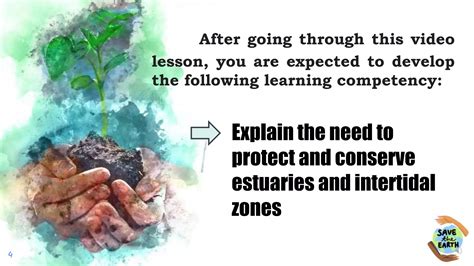 Conservation And Protection Of Estuaries And Intertidal Zones Pptx