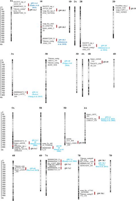 Qtl Clusters For Eight Traits Evaluated The Qtls In Green Were Mapped Download Scientific