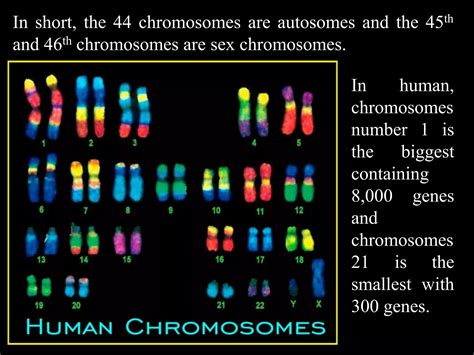 Heredity Inheritance And Variation Pptx Biological Sciences Science