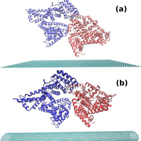 Atomic Configurations Of The Bsa Cbn System Before And After Md Download Scientific Diagram