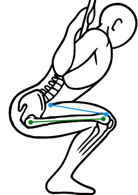 What Is A Parallel Squat Strength Challenges