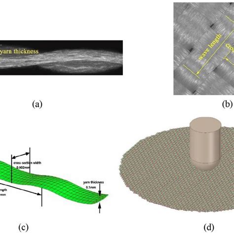 A Microscopic Cross Section View Of Fabric B Microscopic