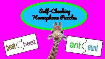 Homophone Match 2 Piece Self Correcting Jigsaw Paired With Graphic Organize