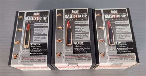 Nosler Ballistic Tip Mm Gr Spitzer Bullets Approx Qty Mayo Auction Realty