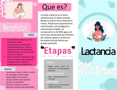 Lactancia Materna Y Sus Beneficios Diapositivas De Ginecología Docsity