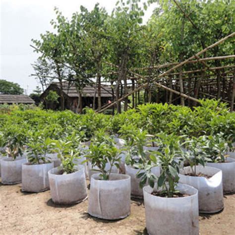 Hariumiu Garden Root Container Cultivation Planting Grow Bag Round Non