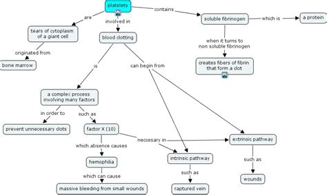 Ihmc Cmaptools Concept Map Platelets