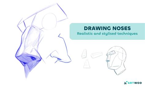 Drawing Noses Realistic