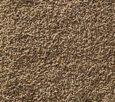 Layer Duck Feed At Best Price In Jamnagar By Hindustan Animal Feeds