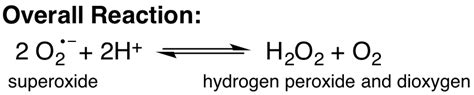 Superoxide Dismutase Reaction