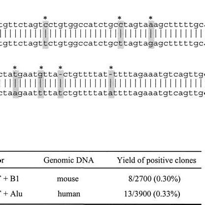 Isolation Of The Human HPRT Gene By A TAR Vector Containing A Mouse Download Scientific Diagram