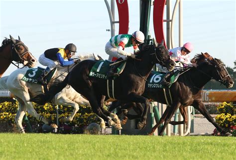 【中日新聞杯】5番人気のキラーアビリティが重賞2勝目 競馬ニュース Netkeiba