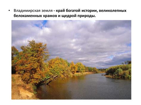 Растительный и животный мир Владимирской области презентация онлайн