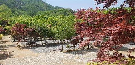 천보웰니스캠핑장 오지캠핑노지캠핑