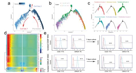 项目文章丨单细胞转录组测序揭示人骨髓间充质干细胞亚群功能 知乎